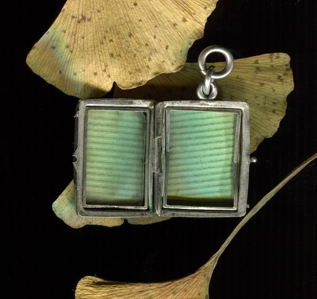 Victorian Silver Book Shaped Locket With Glass and Shield Emblem ...