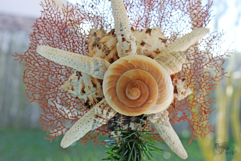 Sea Shell Christmas Tree Topper Brown Tree Topper Starfish - Etsy