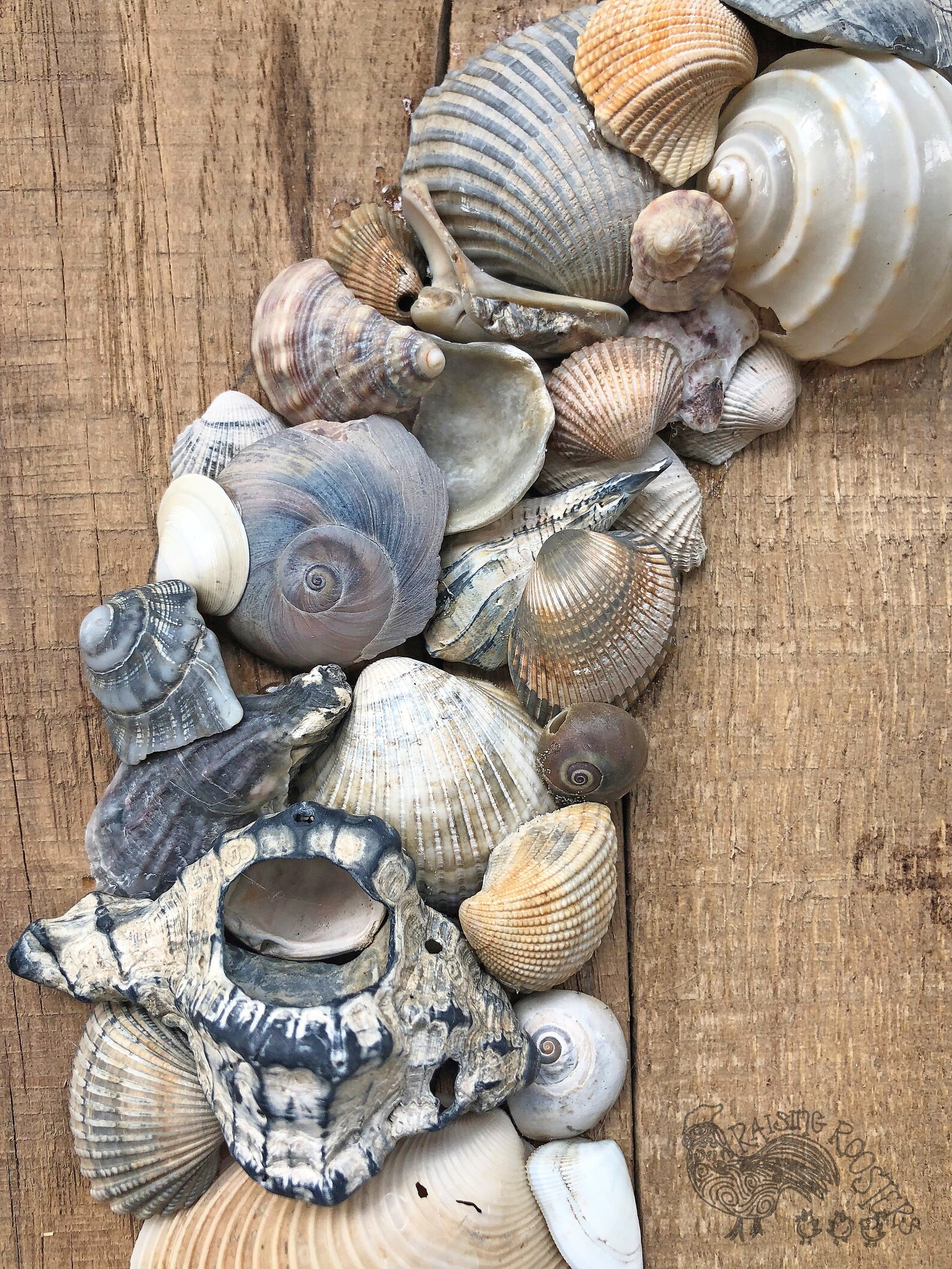Shell Heart Sign- Beach Sign- Shell Art- Beach Wedding Sign ...