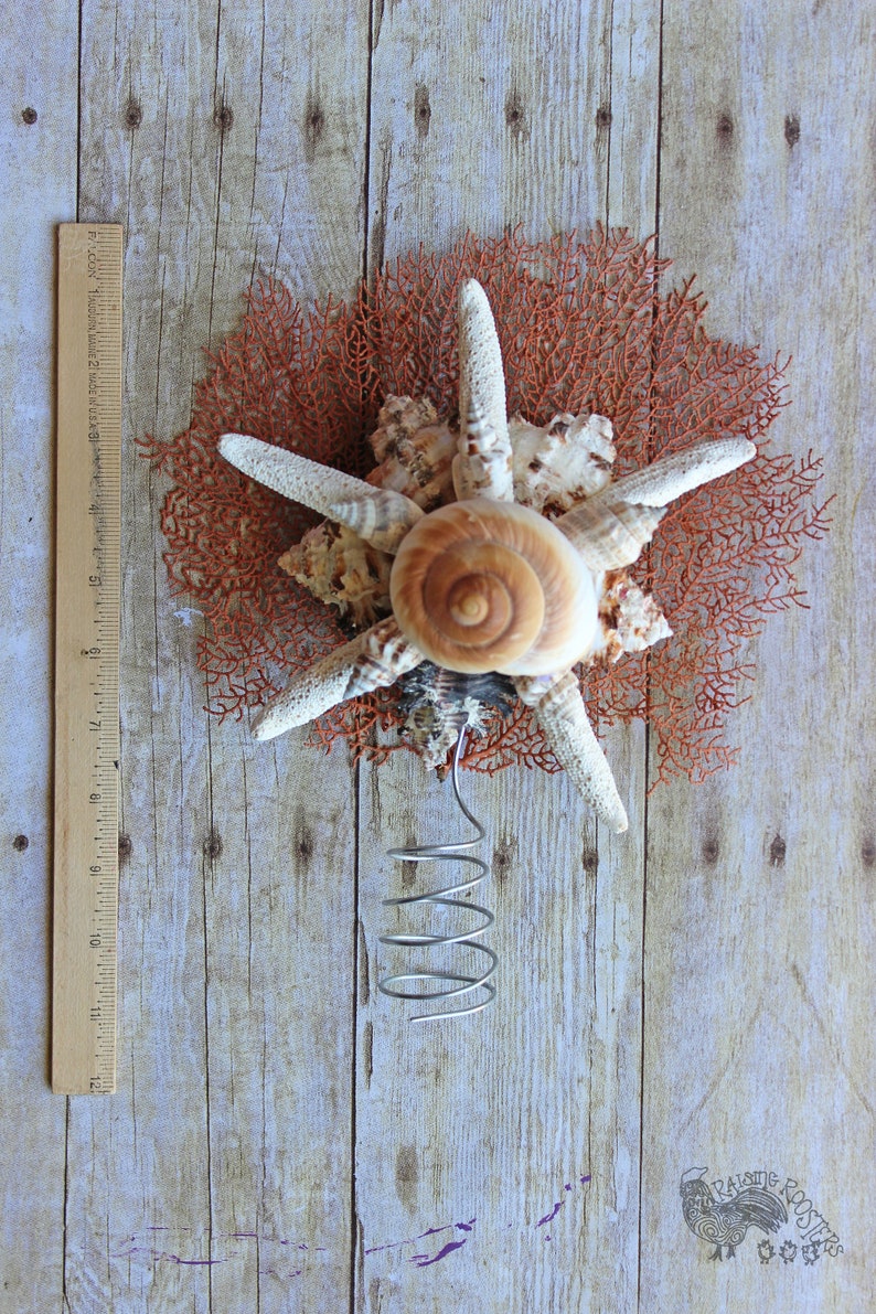 Sea Shell Christmas Tree Topper Brown Tree Topper Starfish | Etsy