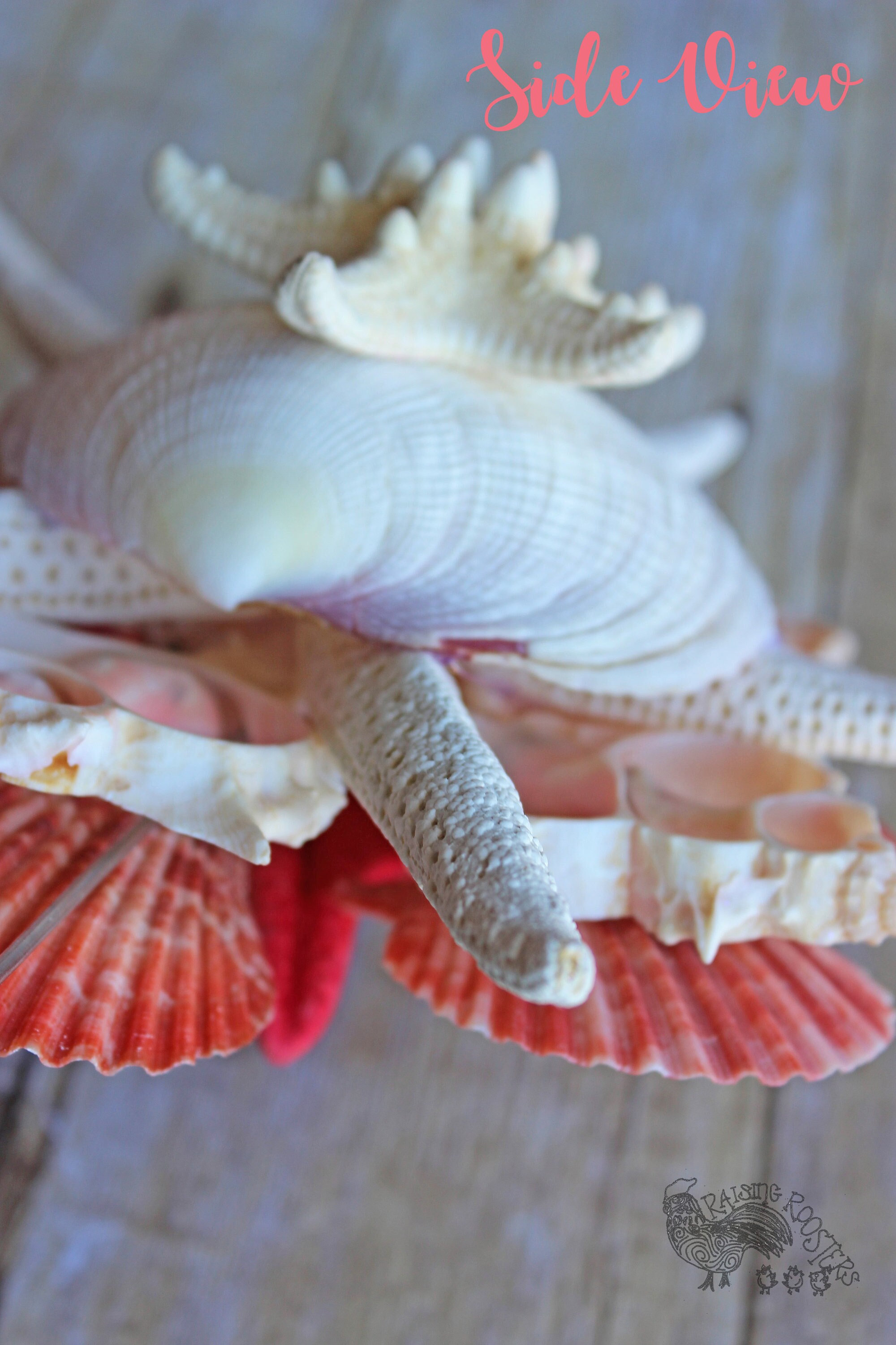 Seashell Christmas Tree Topper Starfish Tree Topper Red Tree | Etsy
