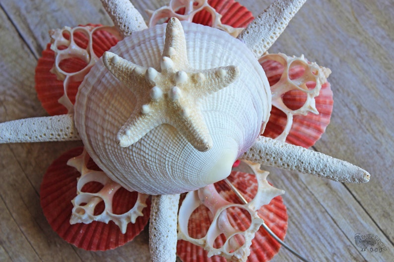 Seashell Christmas Tree Topper Starfish Tree Topper Red Tree - Etsy