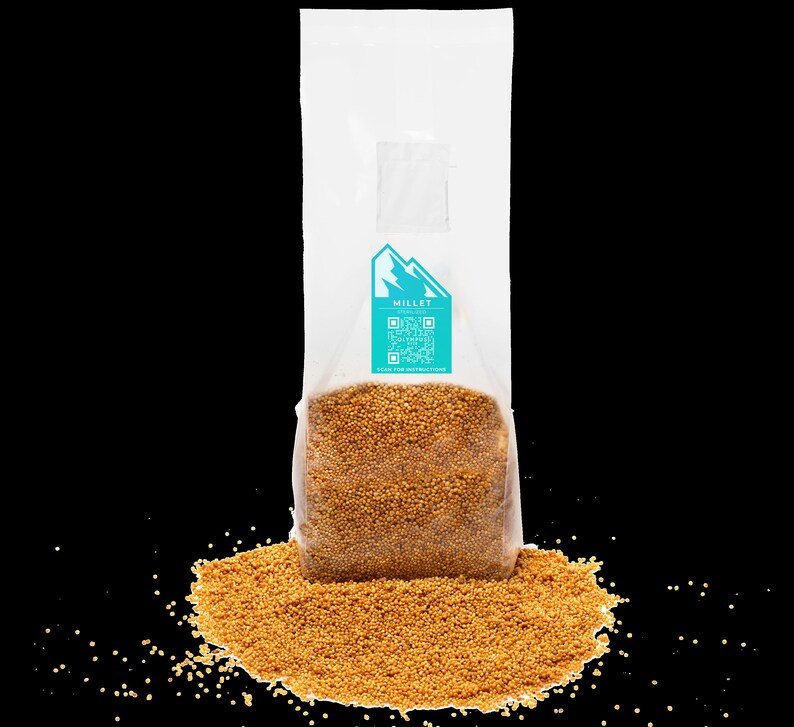 3 Lbs Sterile Grain Spawn Bag | Millet | 0.2 Micron Filter | Mycologist ...