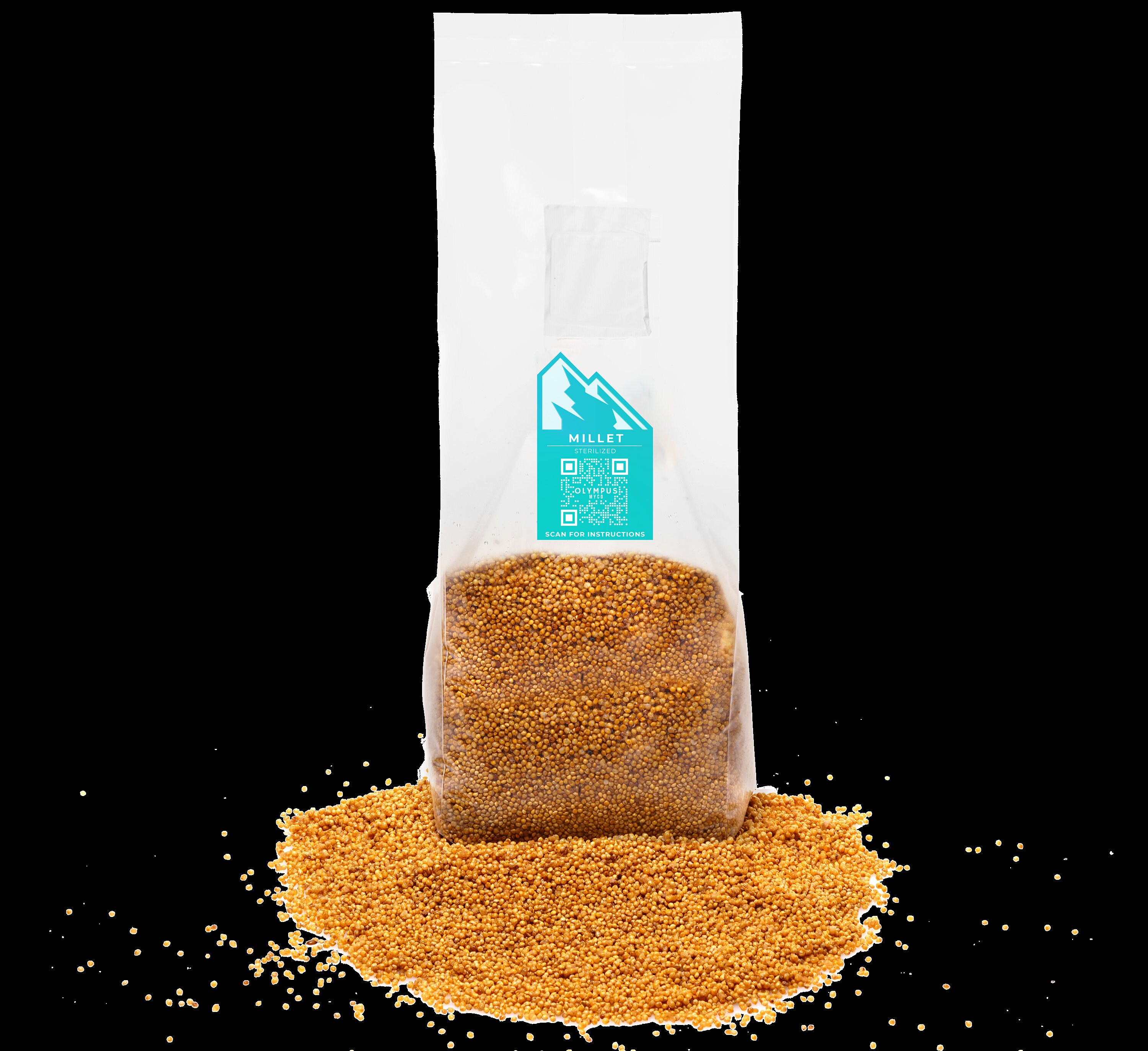 3 Lbs Sterile Grain Spawn Bag | Millet | 0.2 Micron Filter | Mycologist ...