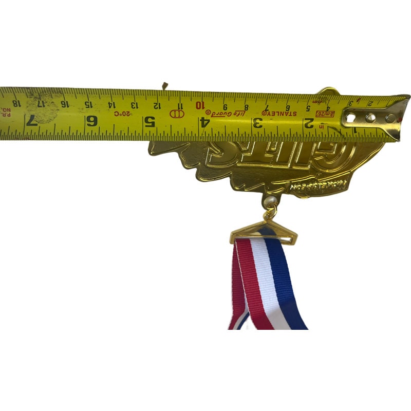 Nickelodeon Global Guts Medal Trophy - Etsy