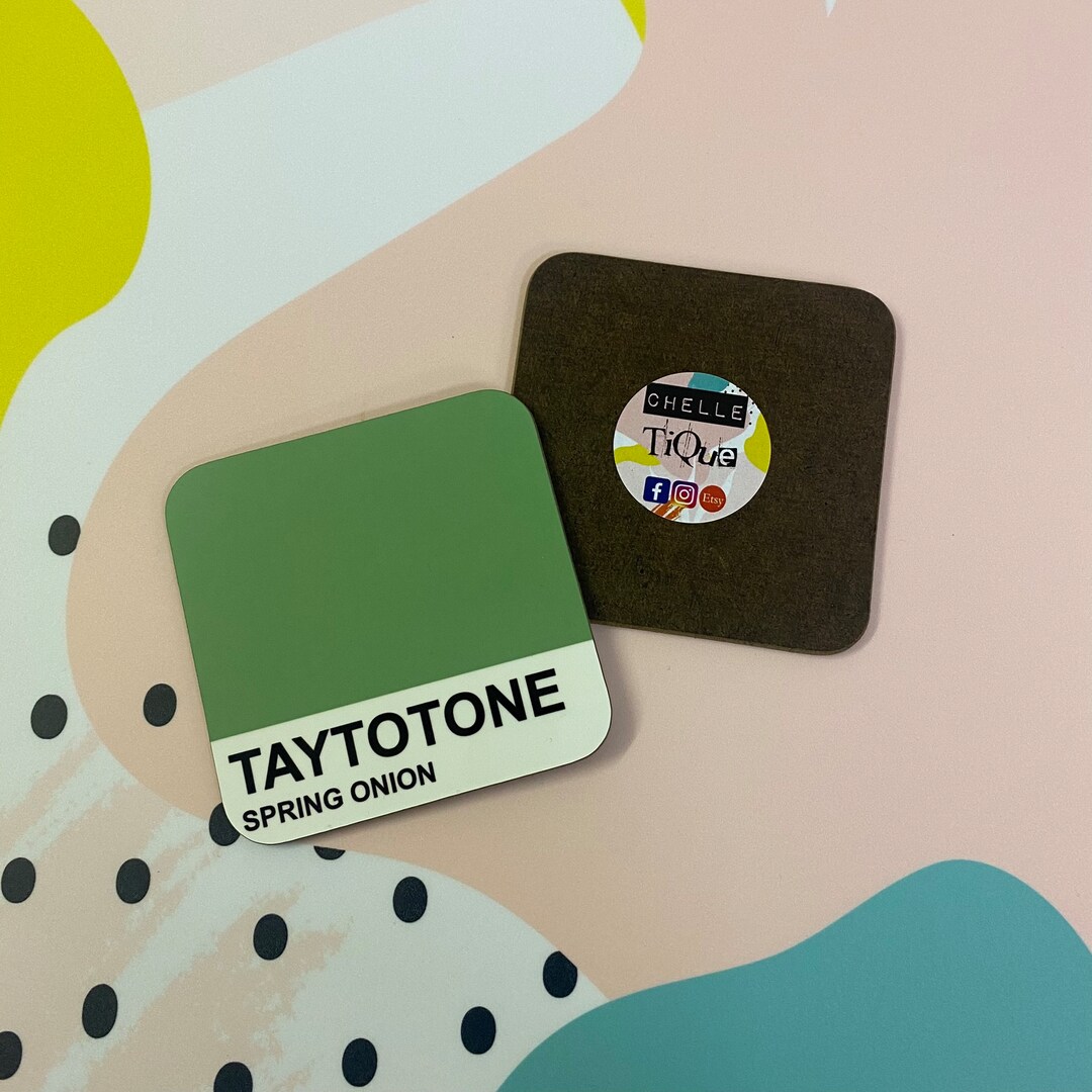 Tayto Spring Onion Coaster // Northern Ireland, Tayto Crisps, Tayto ...