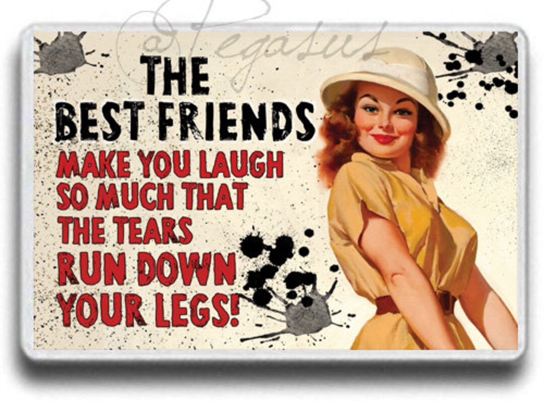 Funny Novelty Fridge Magnets, Best Friend Novelty Fridge Magnet, Funny ...