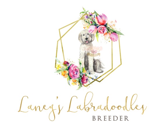 Labradoodle with Flowers Logo Design Goldendoodle Poodle | Etsy