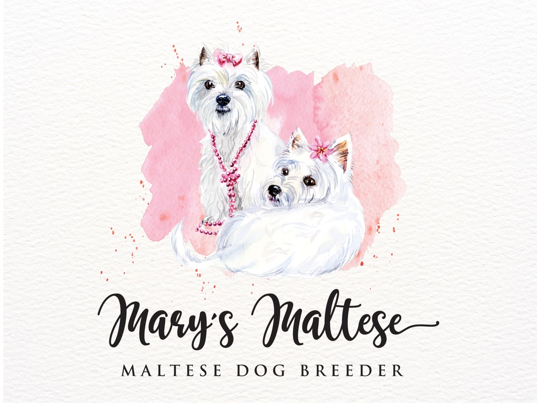 Maltese Breeder Logo, Pet Boutique Logo, Dog Sitting Logo, White Dog ...
