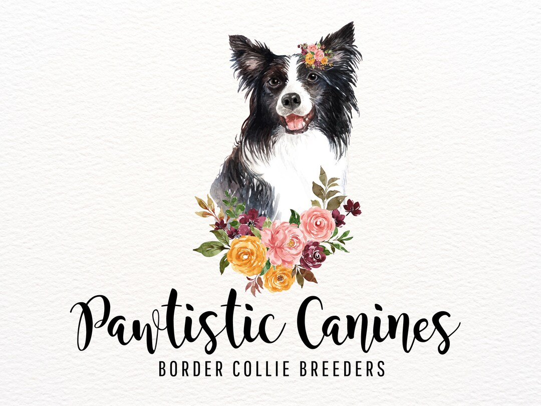 Border Collie Logo, Dog Logo, Pet Boutique Logo, Pet Sitting Logo, Pet ...
