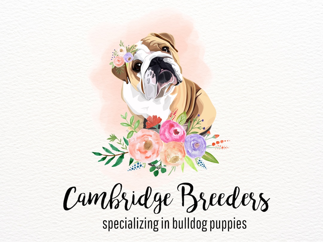 Pet Logos, Bulldog Logo, Dog Breeder Logo, Custom Logo, Pet Store Logo ...