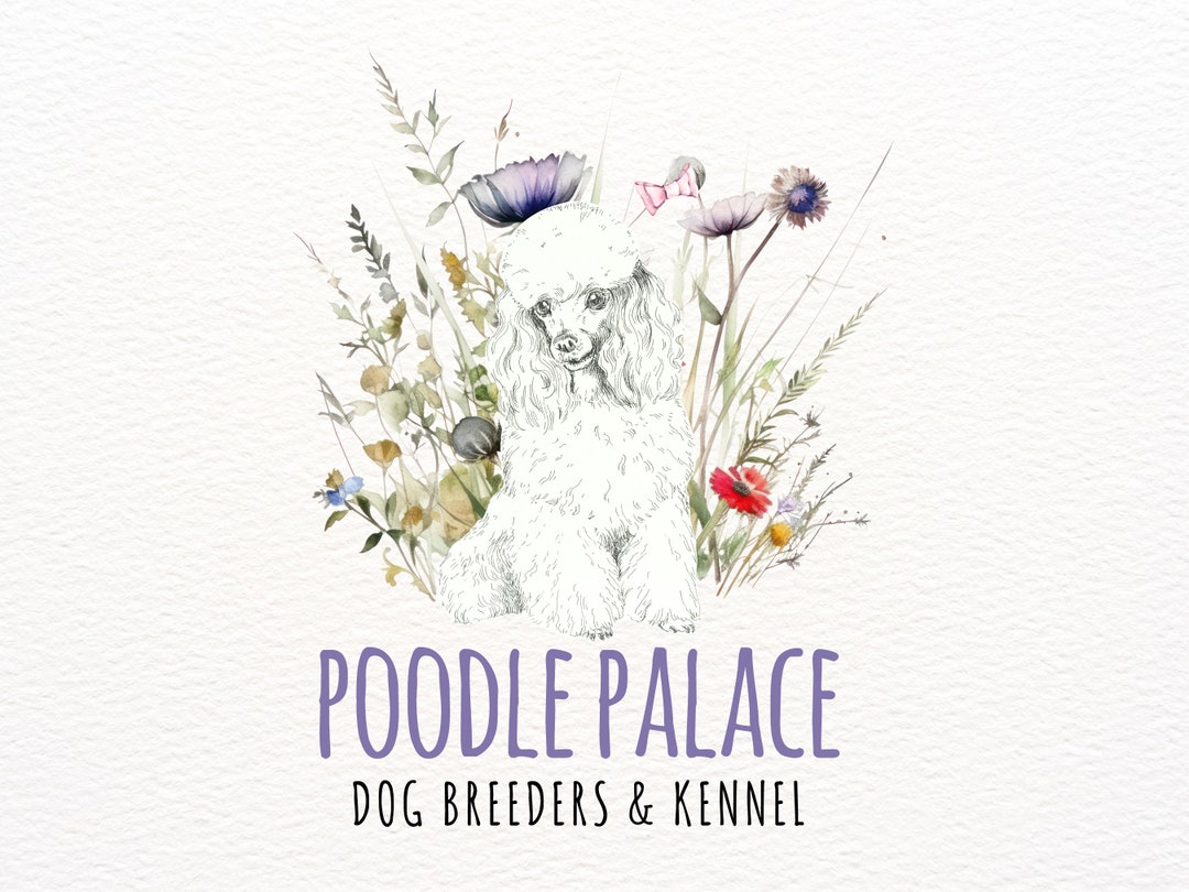 Standard Poodle Logo, White Poodle Logo, Breeder Logo, White Dog Logo ...