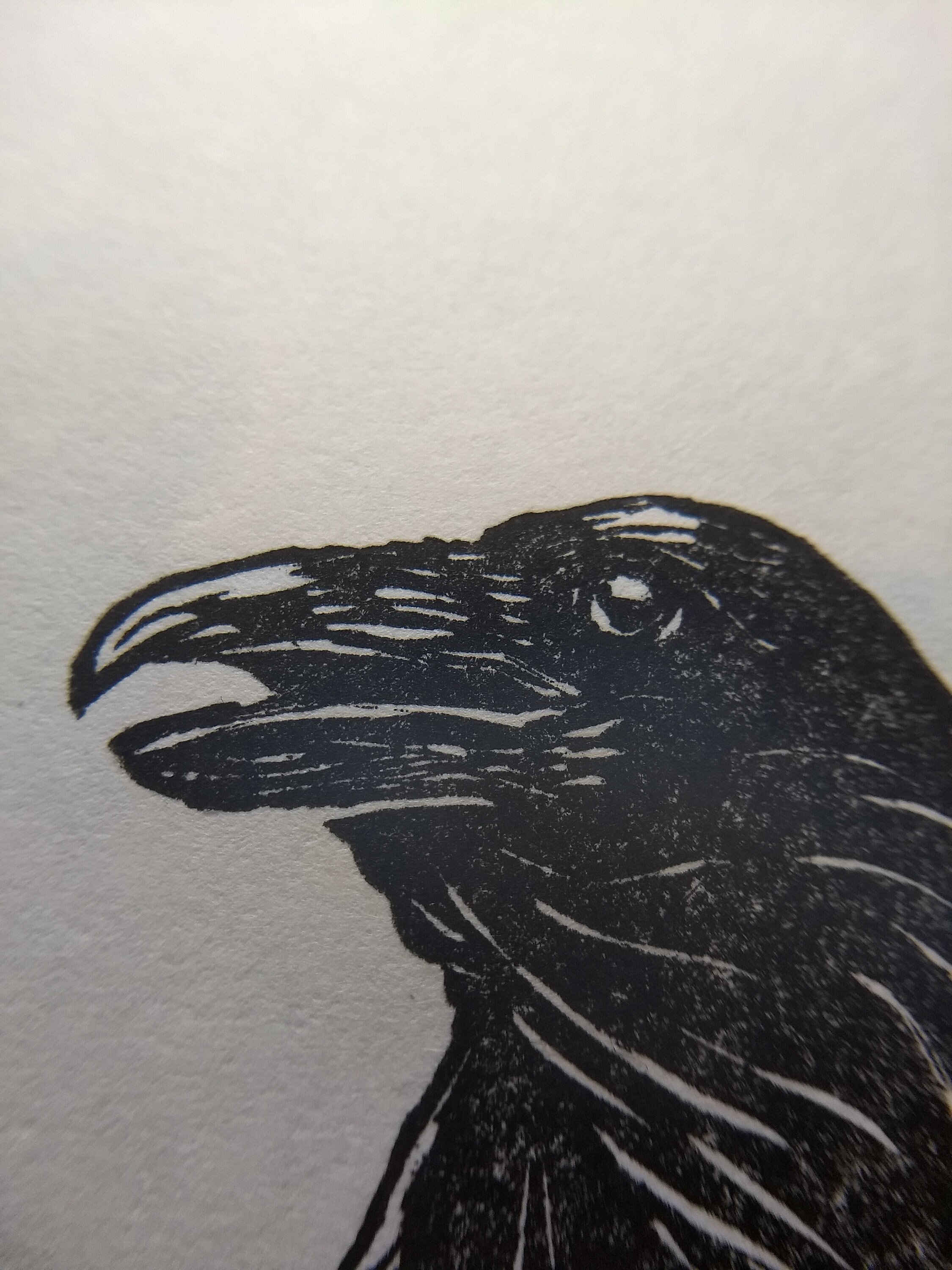 Raven. Original, Hand Burnished Linocut Print. - Etsy UK