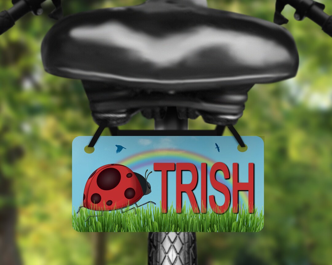 Ladybug, Nature Inspired Design Bicycle Tag, Bike License Plate Printed ...