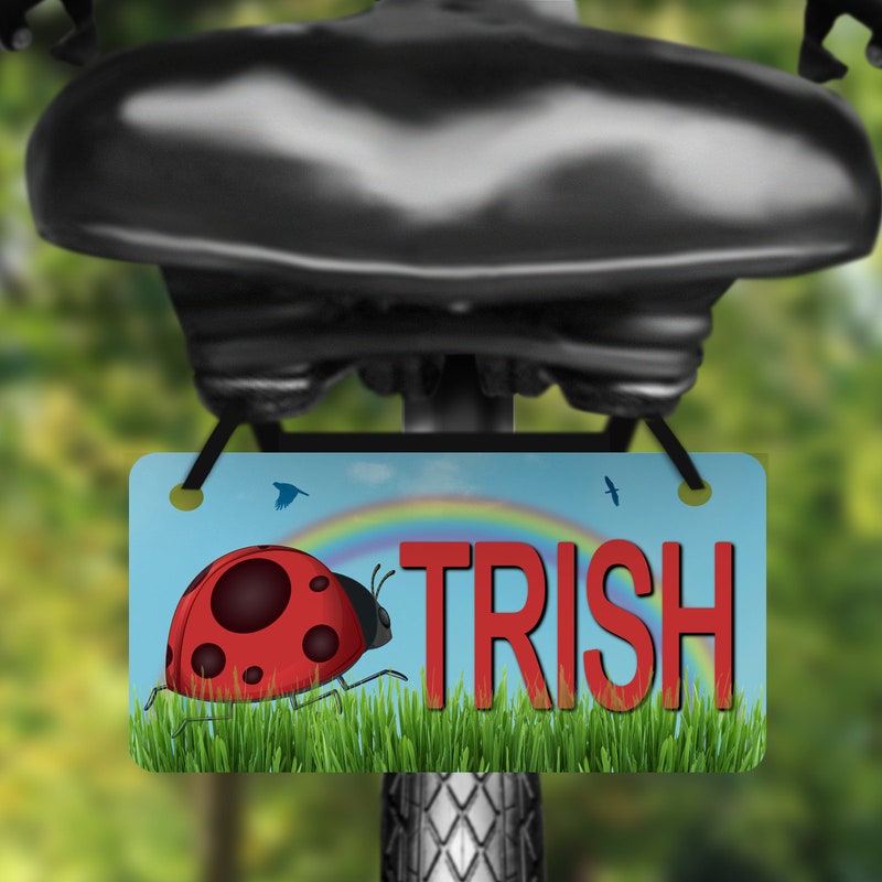 Custom License Plate Bugs - Etsy