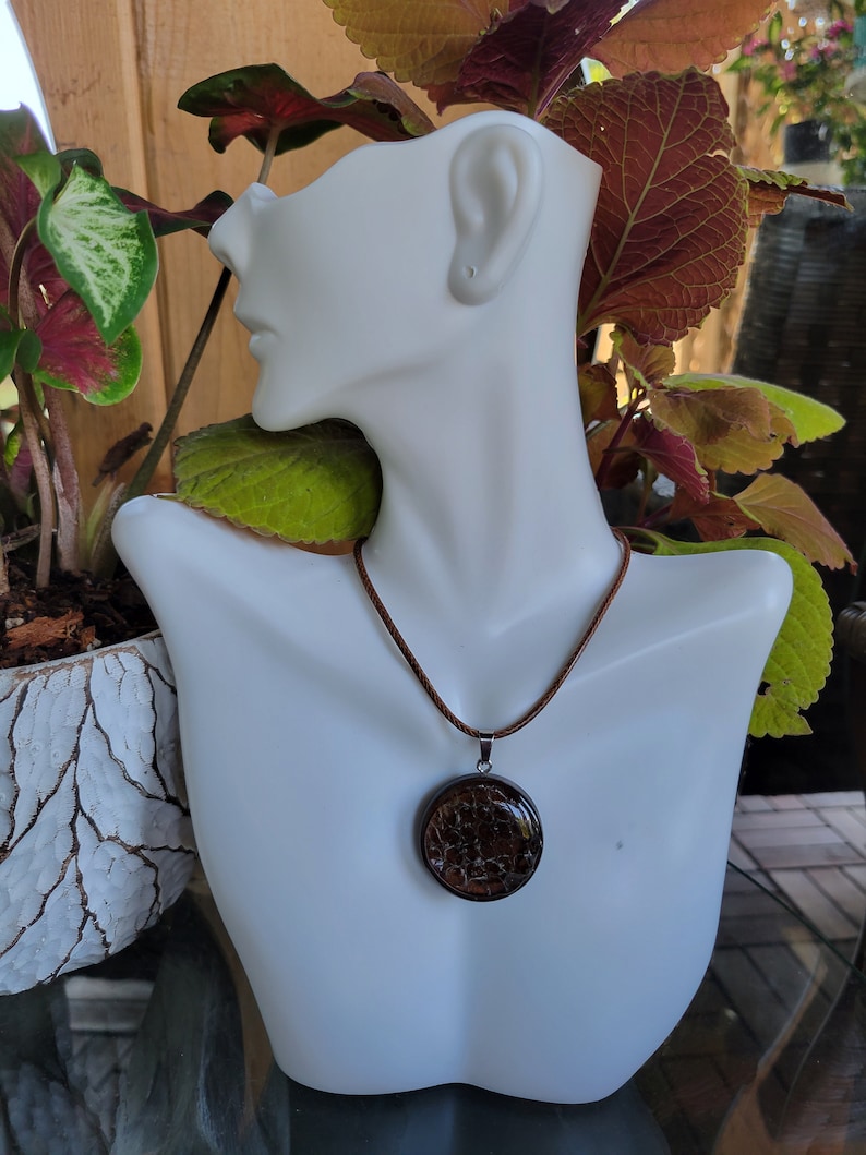 Snakeskin Shed in Resin on Brown Wood Pendant Jewelry Necklace | Scales ...