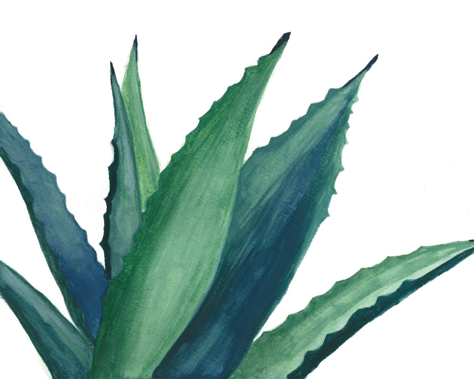 Blue Agave Watercolor Art Print, Agave Artwork, Agave Decor, Watercolor ...