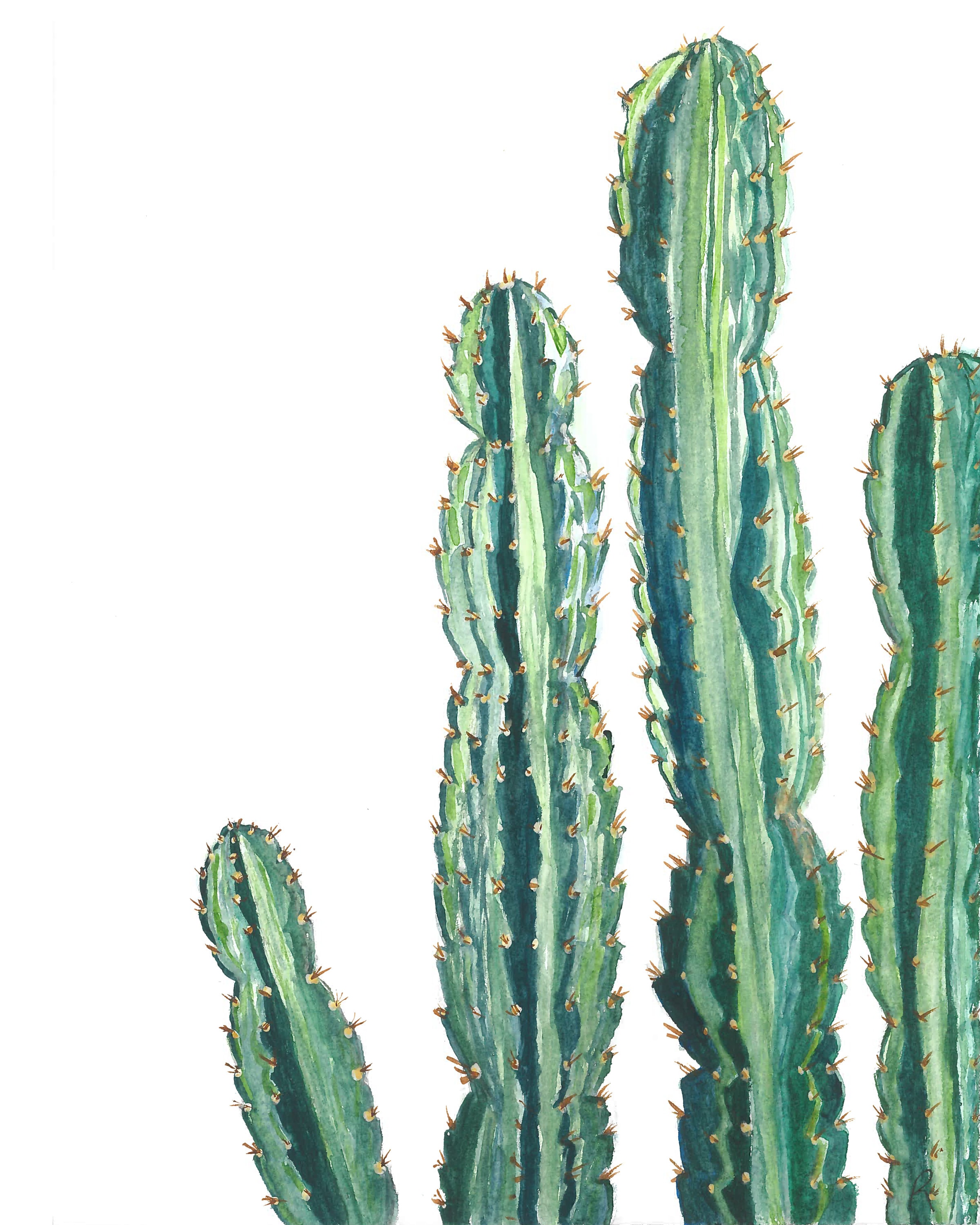 Digital cactus artwork Printable succulent download Cactus print Cacti ...