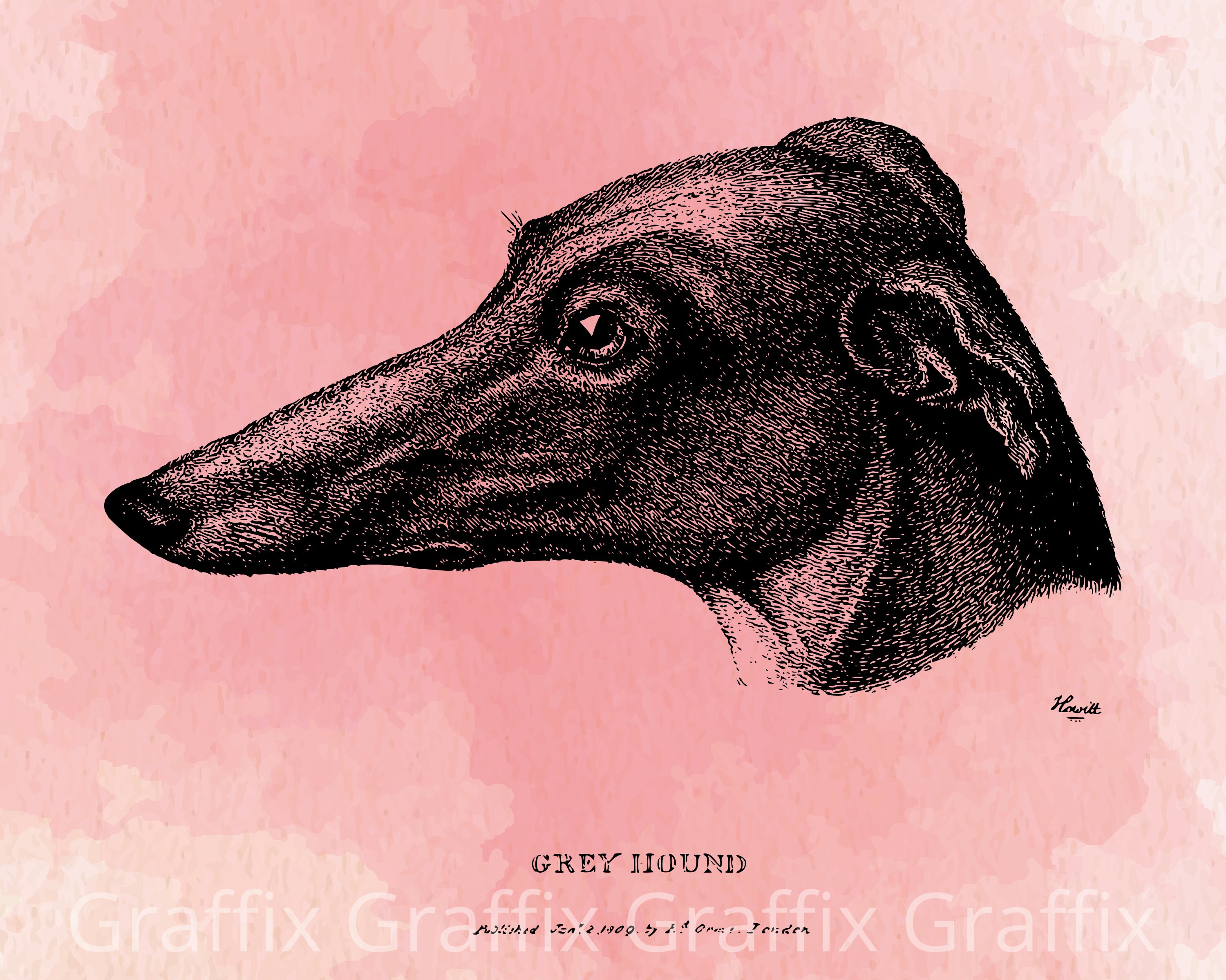 INSTANT DOWNLOAD Greyhound Dog Print Dog Print Animal - Etsy Australia