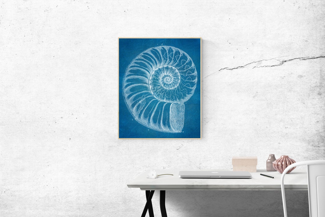 INSTANT DOWNLOAD - Nautilus Seashell Blueprint, Nautical Art, Shell ...