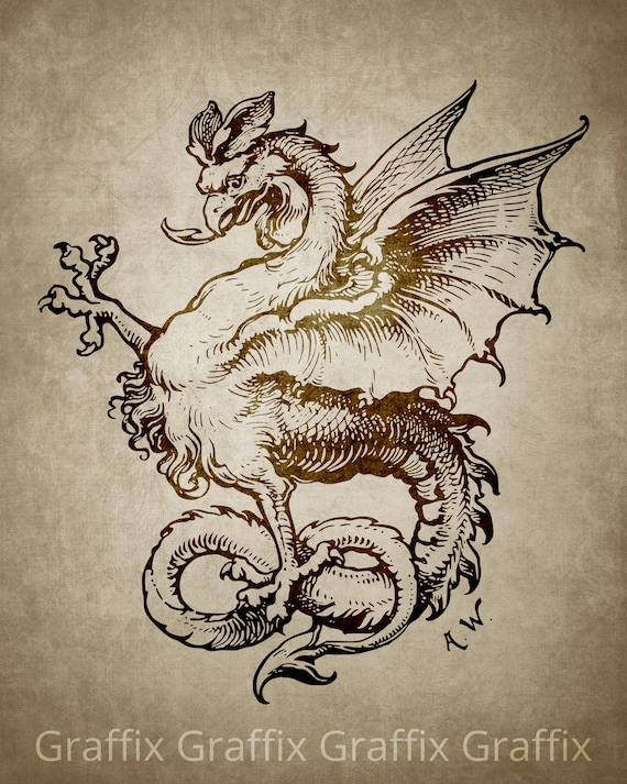 Medieval Dragons Pictures