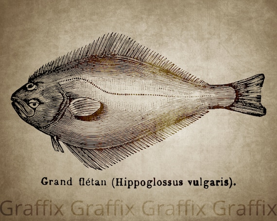 Art & Collectibles Digital Drawing & Illustration Wall Art INSTANT ...