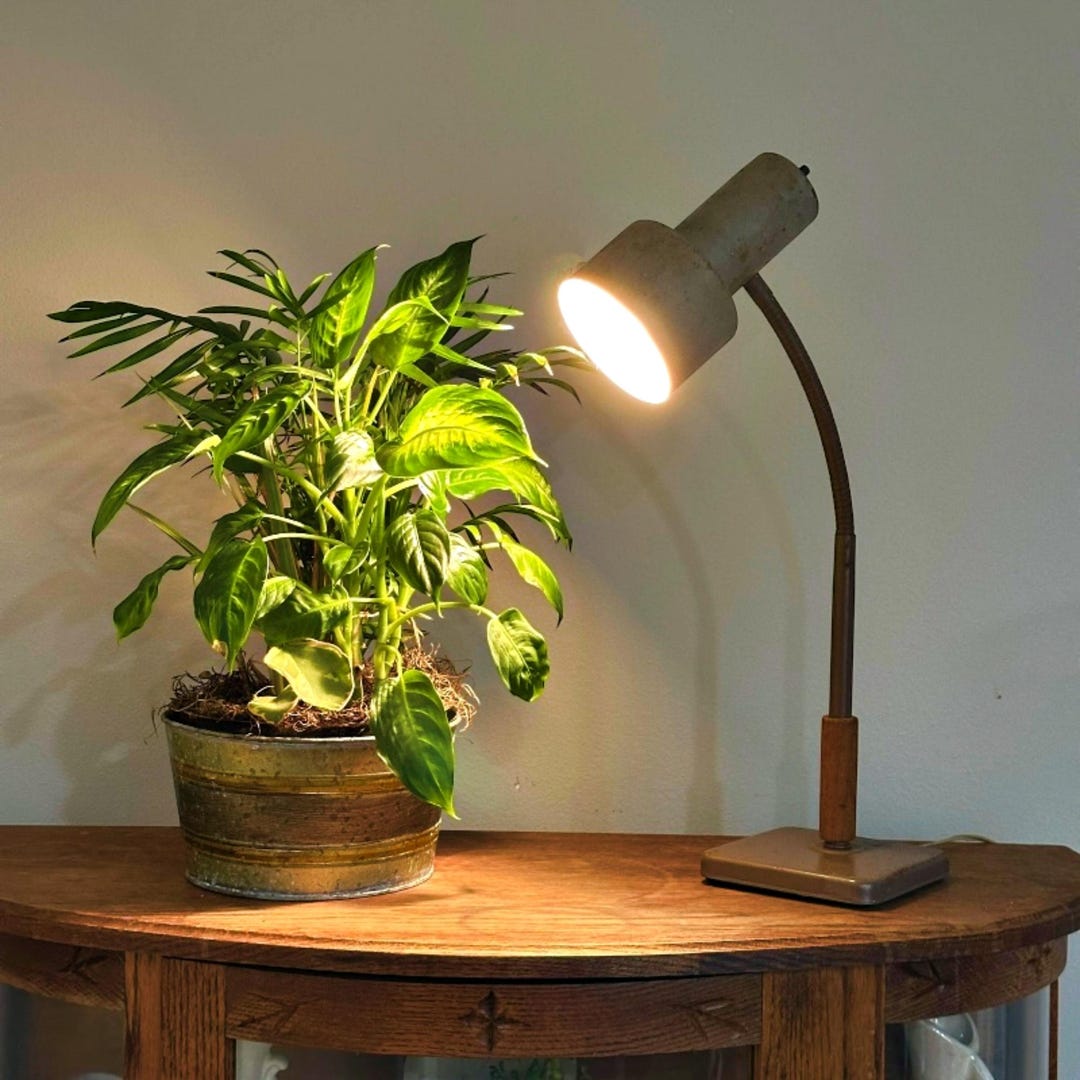 Vintage MCM Gooseneck Metal Desk Lamp HEYCO Industrial Decor 21 Inch ...