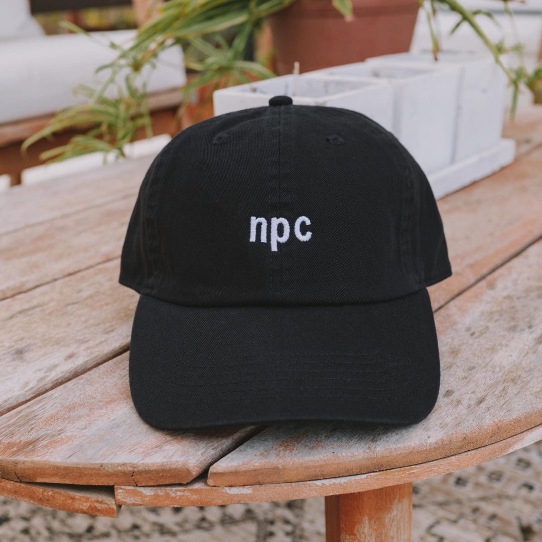 NPC Non Playing Character RPG Gaming PC Embroidered Dad Hat - Etsy