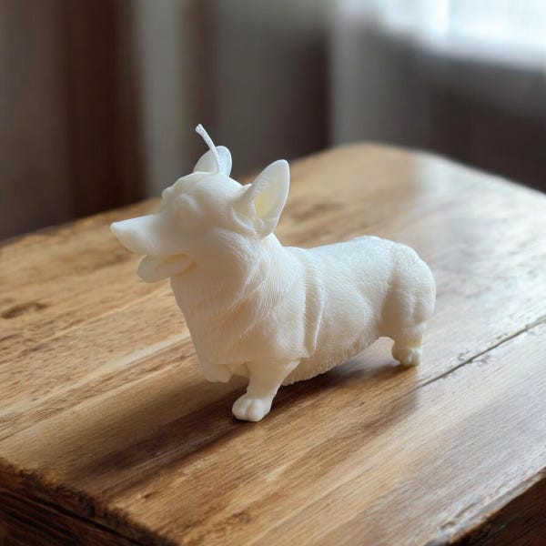 Cardigan Candle - Etsy UK