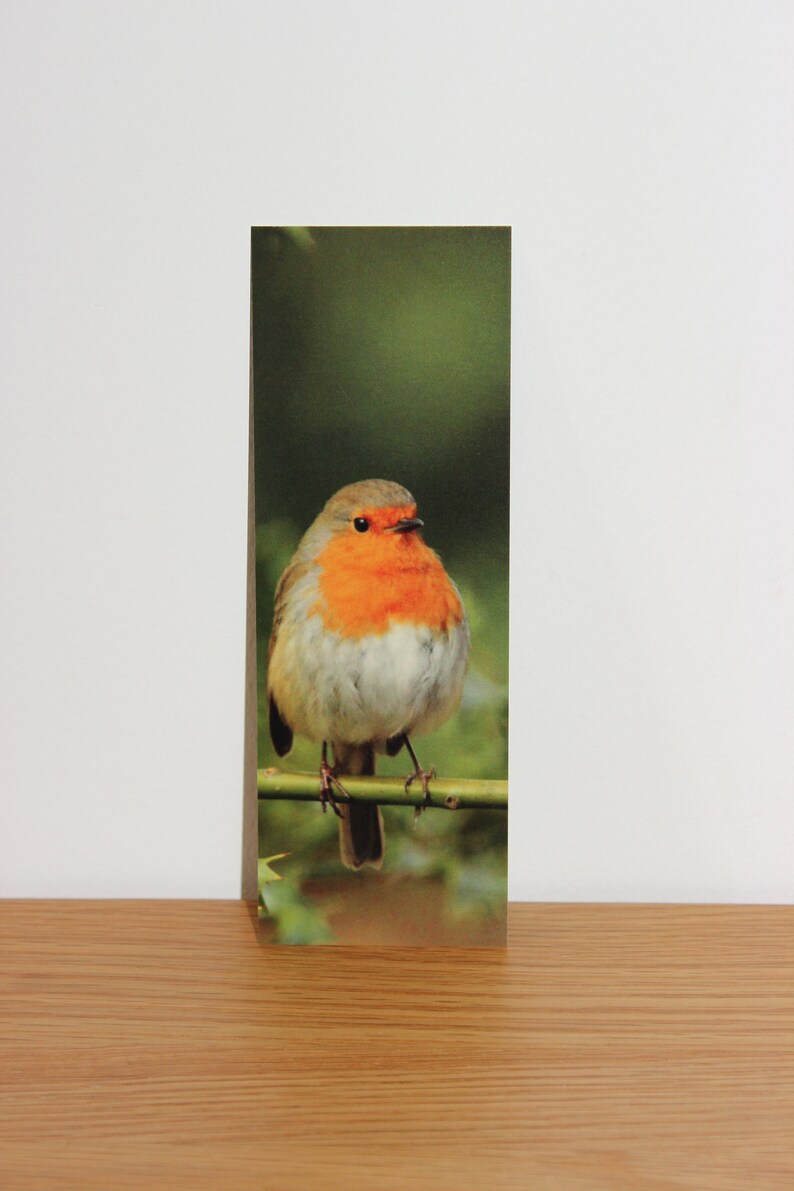 Robin Photo Bookmark - Etsy UK
