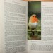 Robin Photo Bookmark - Etsy UK