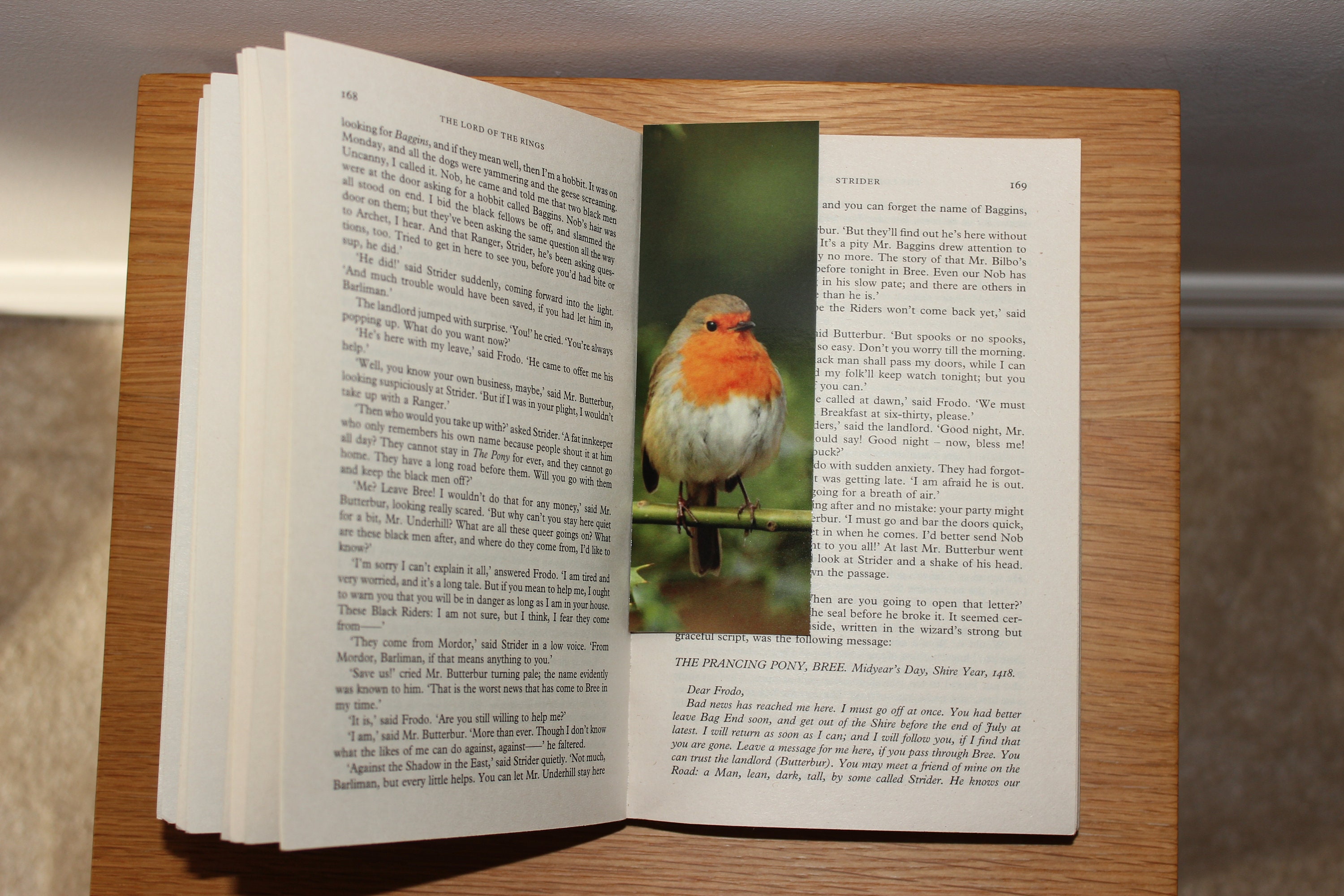 Robin Photo Bookmark - Etsy UK