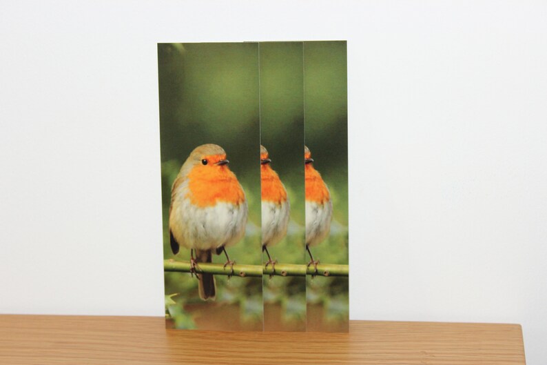 Robin Photo Bookmark - Etsy UK