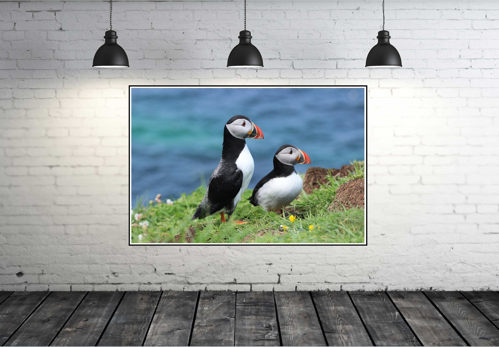 Puffin Print - Multiple Sizes Available, Lustre Finish, Unframed - Etsy