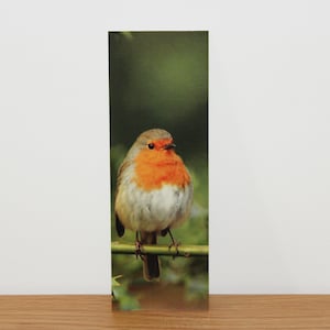 Robin Photo Bookmark - Etsy UK