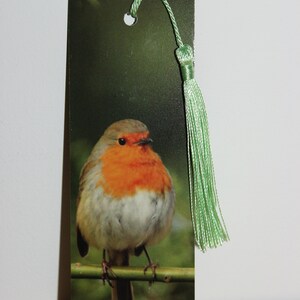 Robin Photo Bookmark - Etsy UK
