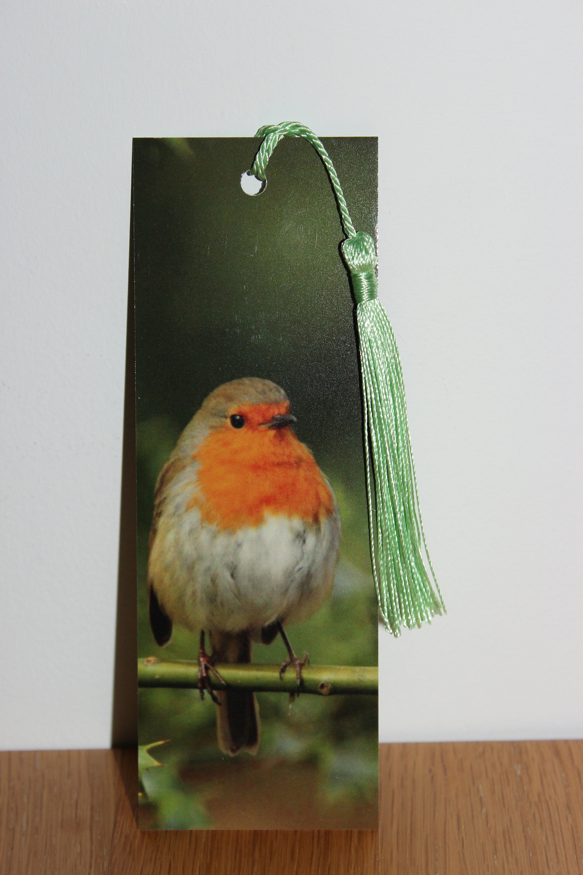 Robin Photo Bookmark - Etsy UK