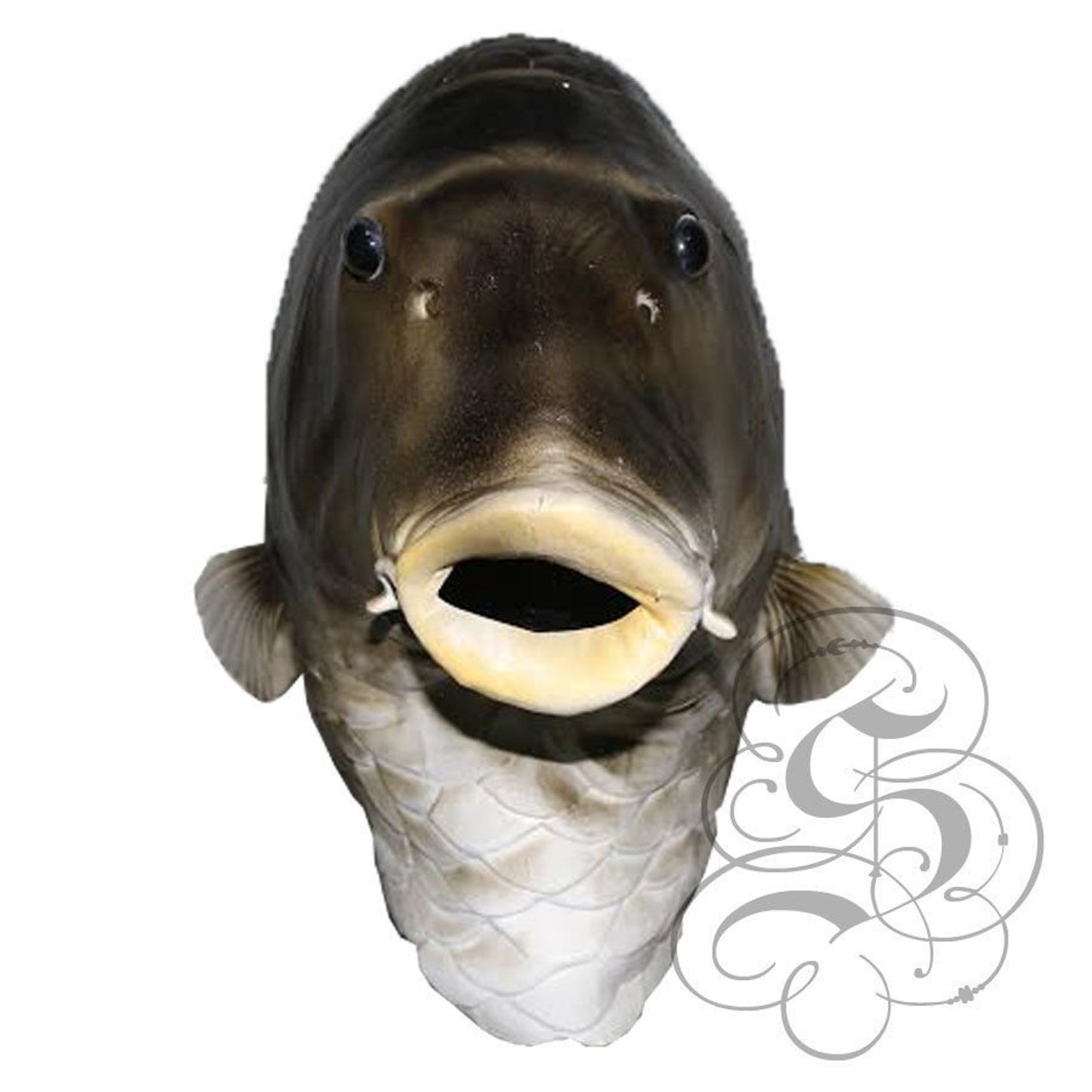 Latex Realistic Fish Full Head Prop Cosplay Animal Head Party - Etsy UK