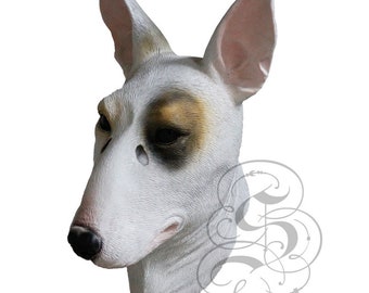 Halloween Bull Terrier - Etsy