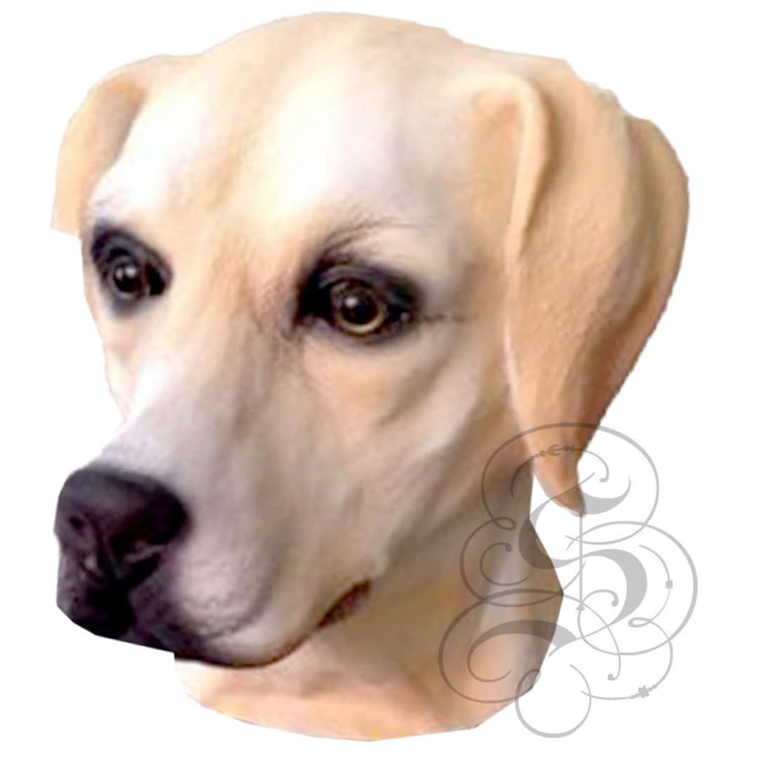 Latex Animal Realistic Golden Labrador Dog Full Head Prop - Etsy UK