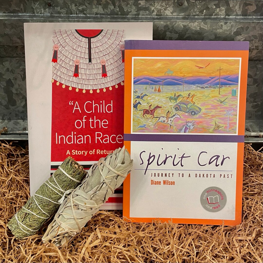 Native American/indigenous Studies Book Bundle Sioux Memoir Sioux ...