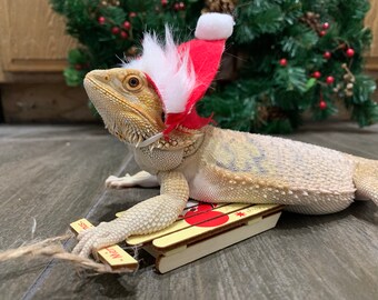 Lizard hat | Etsy
