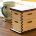 Mini DIY Bee Hive Model Kit, My Little Beekeeper Original Model Kit ...
