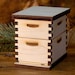Mini DIY Bee Hive Model Kit, My Little Beekeeper Original Model Kit ...