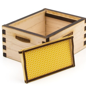 Mini DIY Bee Hive Model Kit, My Little Beekeeper Original Model Kit ...