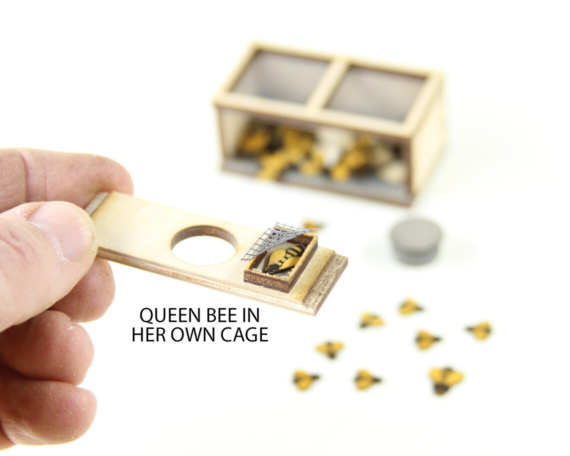 My Little Beekeeper Package of Bees Add-on, Beekeeper Gift, Miniature ...