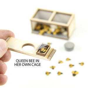 My Little Beekeeper Package of Bees Add-on, Beekeeper Gift, Miniature ...