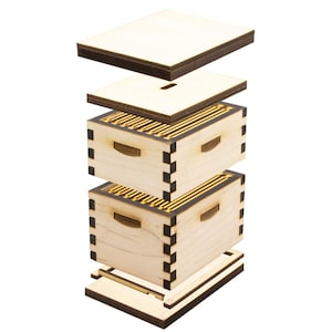 Mini DIY Bee Hive Model Kit, My Little Beekeeper Original Model Kit ...