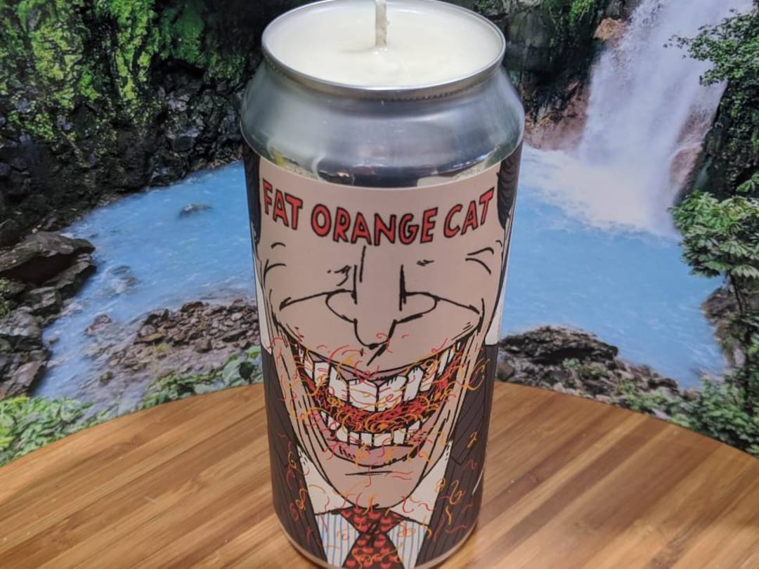 Fat Orange Cat Brewery's Feed Me a Stray Cat 16 oz. Beer - Etsy Italia