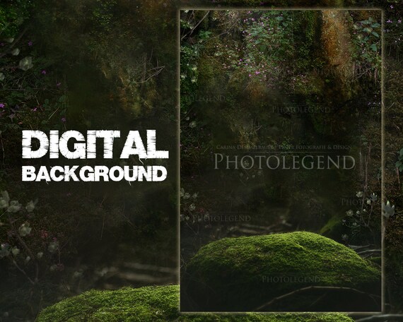 Digital Fantasy Background Backdrop - Etsy